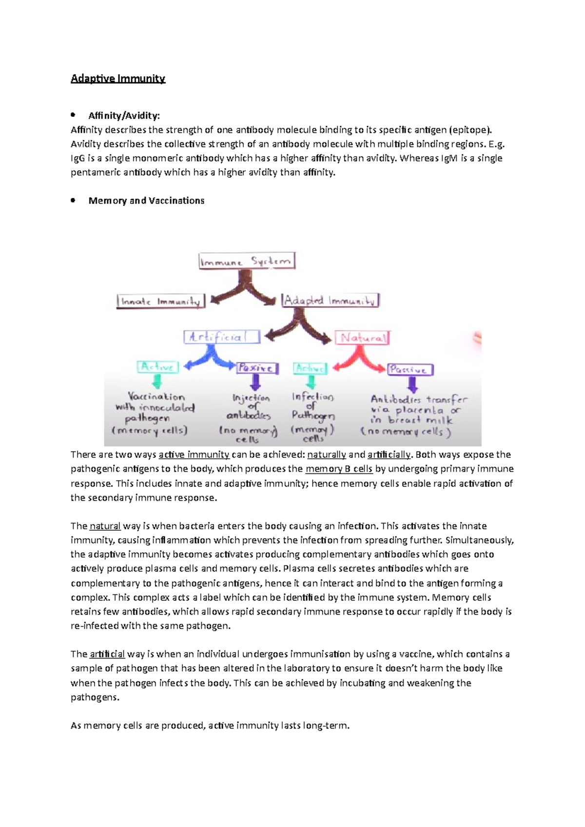 Adaptive Memory - Used lecture slides and journal articles to produce ...