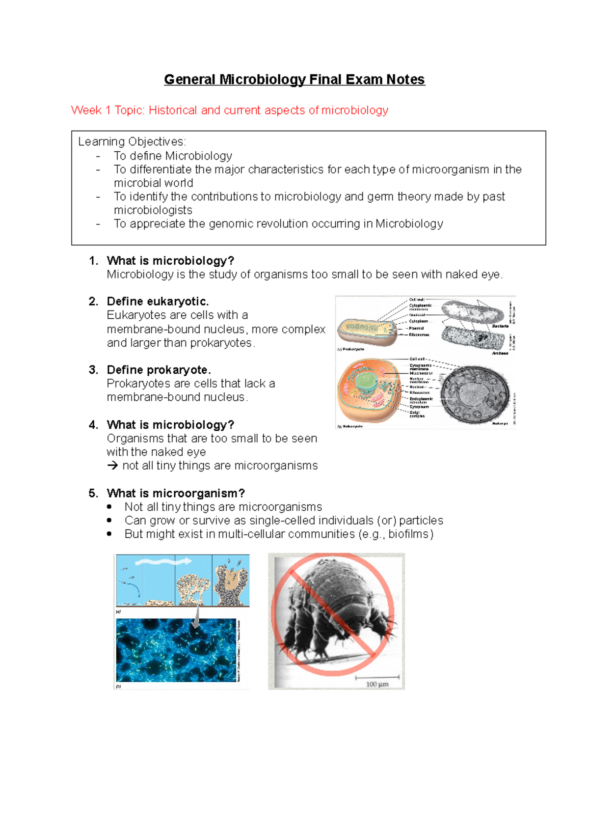 General Microbiology Final Exam Notes - Define eukaryotic. Eukaryotes ...