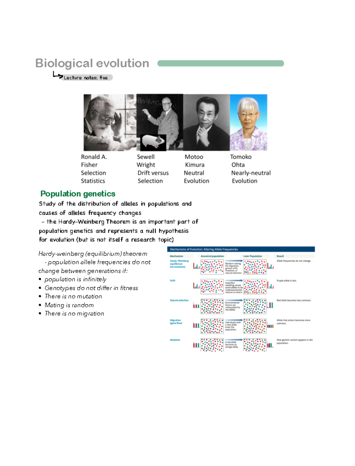 Evolution 4 - Notes - Biological evolution Lecture notes: five ...