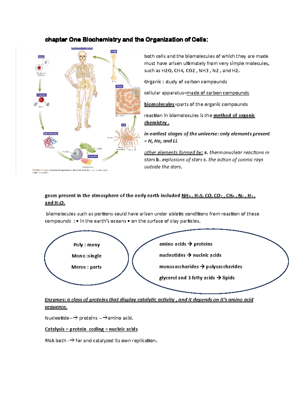 Ch 1 - Summary for ch1 biocehm - chapter One Biochemistry and the Organization of Cells: gases ...