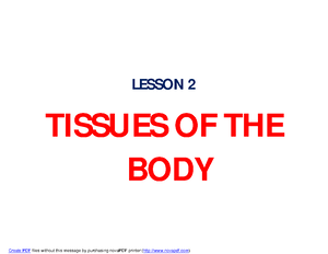 [Solved] meaning of the HYPOCHONDRIAC REGION the organ located on the ...