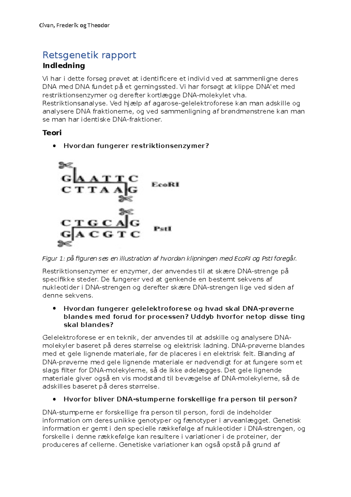 Gelelektroforese 1 - Gelektroforese - forsøg - Retsgenetik rapport Indledning Vi har i dette ...