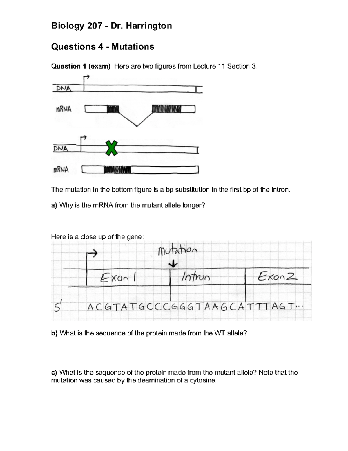 B207pq04 - .LL - Biology 207 - Dr. Harrington Questions 4 - Mutations ...