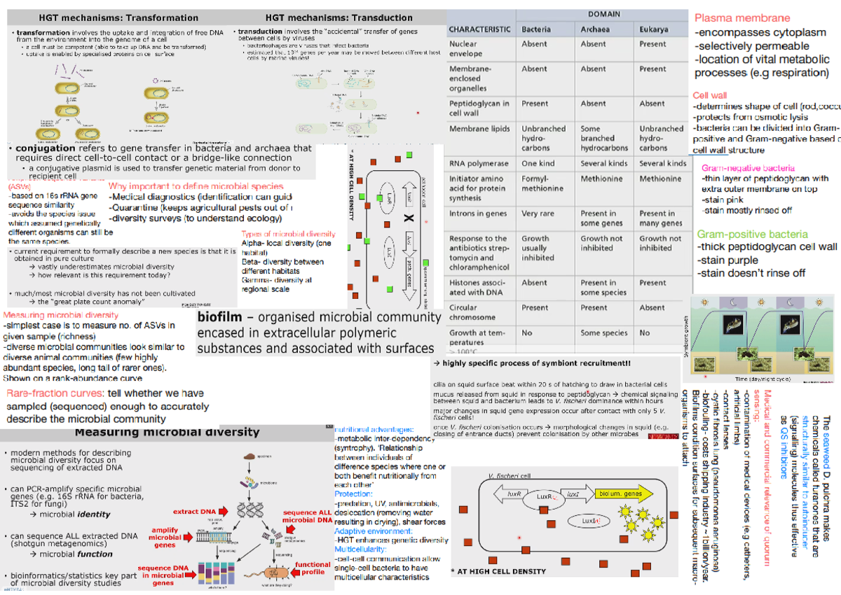 Biosci Cheatsheet - Foundations of Biochemistry - Studocu