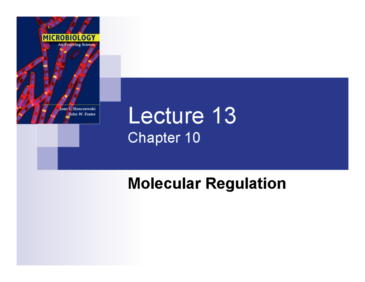 Lecture 13 W17final - Roper - Lecture 13 Chapter 10 Molecular ...