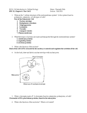 Step 1 Sample Items - CBT - Step 1 SAMPLE TEST QUESTIONS A Joint ...