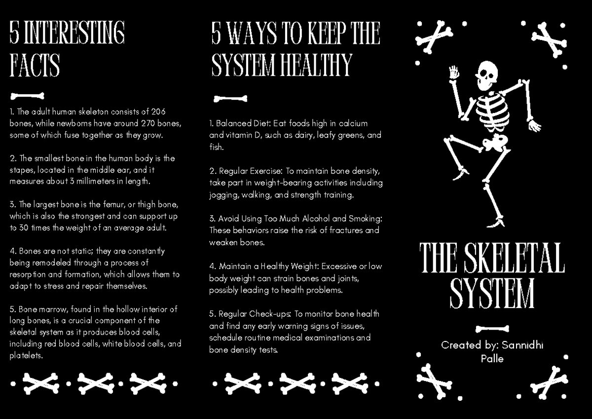 The skeletal System - Sann - THE SKELETAL SYSTEM Created by: Sannidhi ...