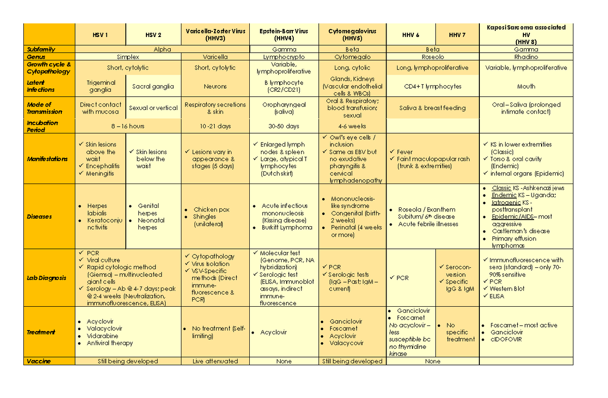 Human Herpes Virus Summary - HSV 1 HSV 2 Varicella-Zoster Virus (HHV3 ...