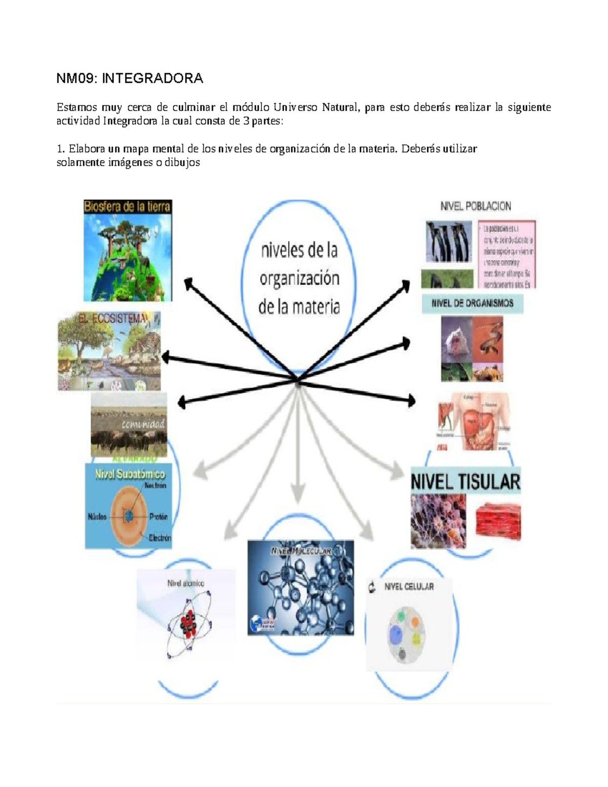 NM09 Integradora - prepa - Estadística - NM09: INTEGRADORA Estamos muy ...