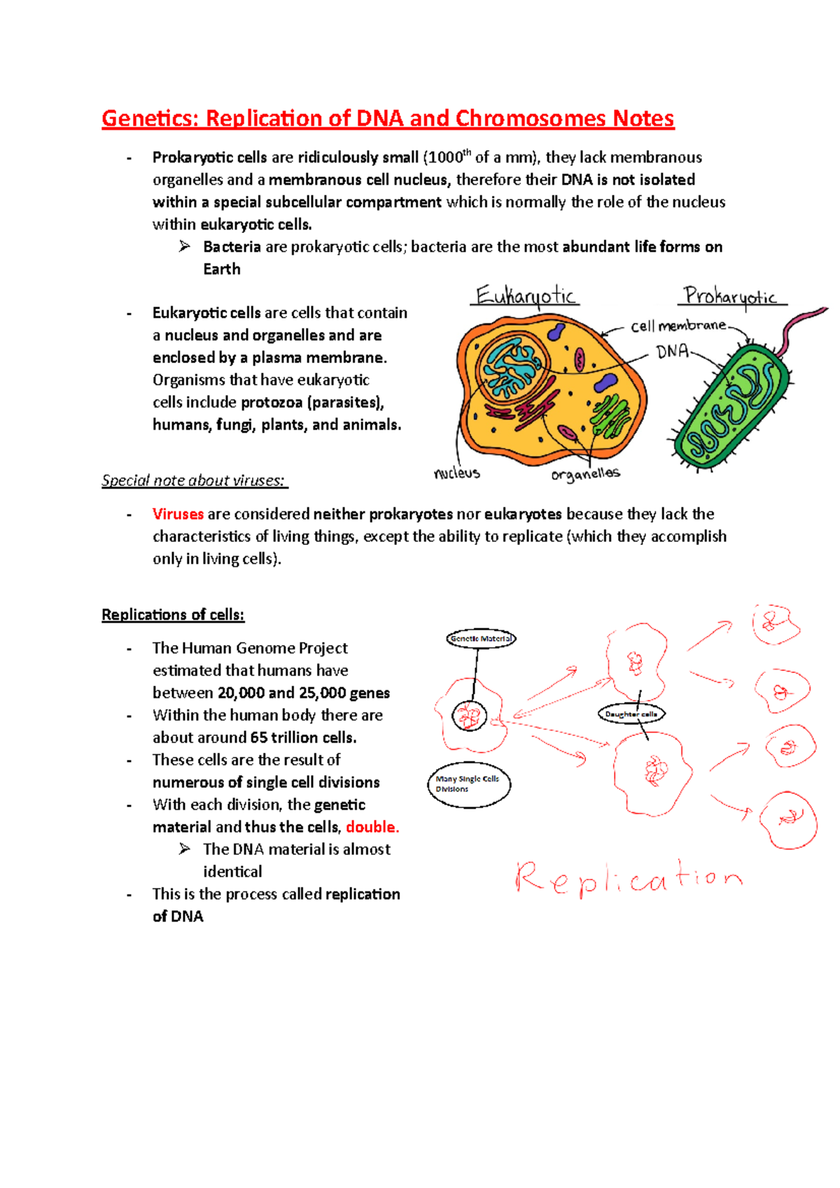 Life Science 1 - Replication of DNA and Chromosomes Notes - Genetics ...