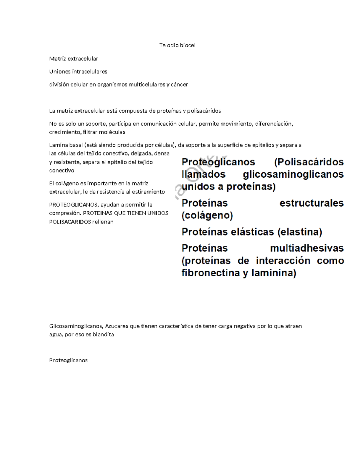apunte biocel Matriz extracelular Uniones intracelulares división celular en organismos - Studocu