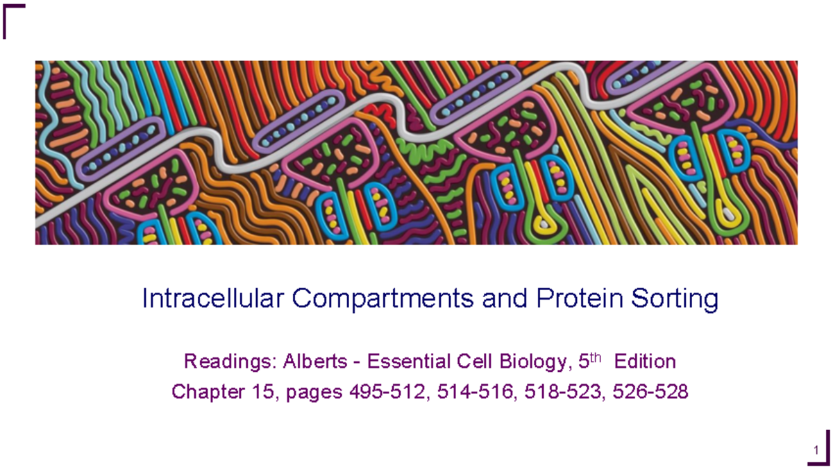 BIO130 SECTION 2 WEEK 3. Intracellular compartments and protein sorting ...
