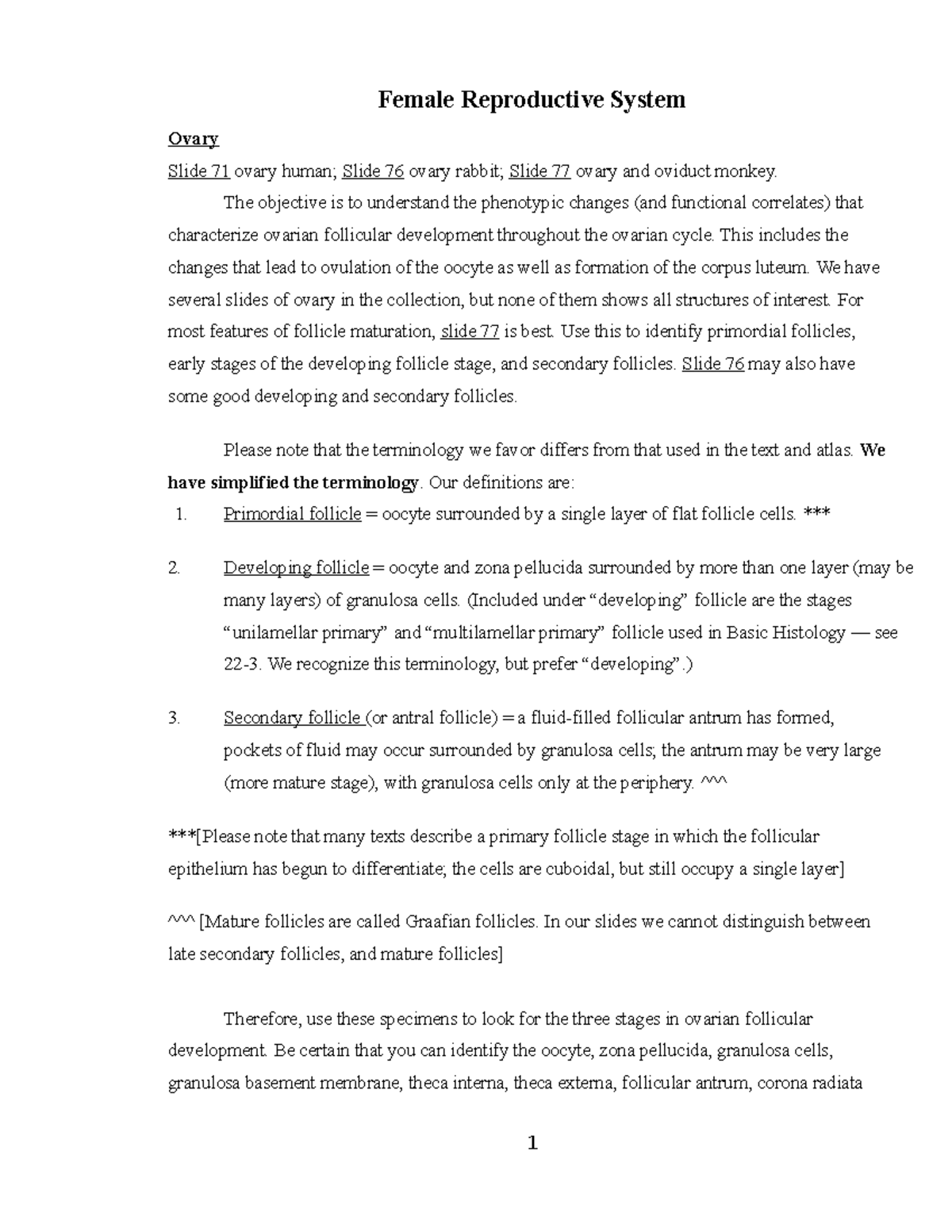 Female reproductive system lab - Female Reproductive System Ovary Slide ...