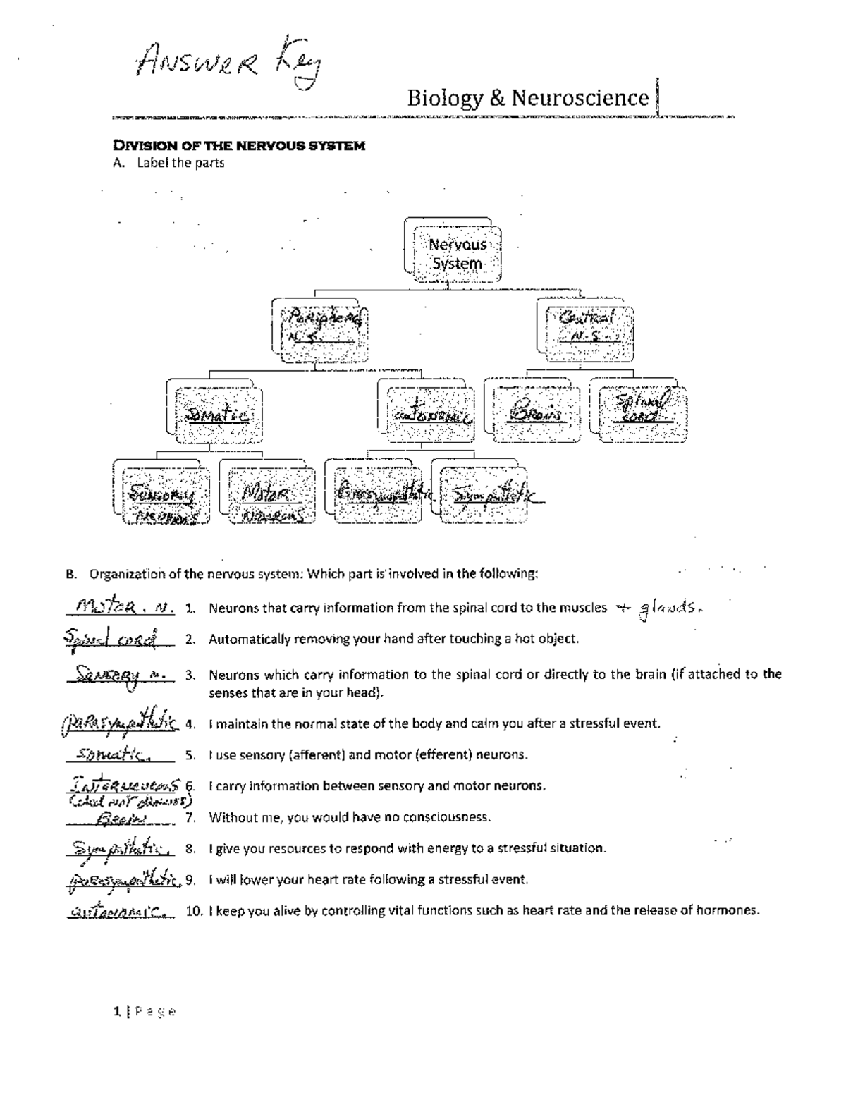 Answer Key for Biology Exercises General - 350-101-DW - Studocu