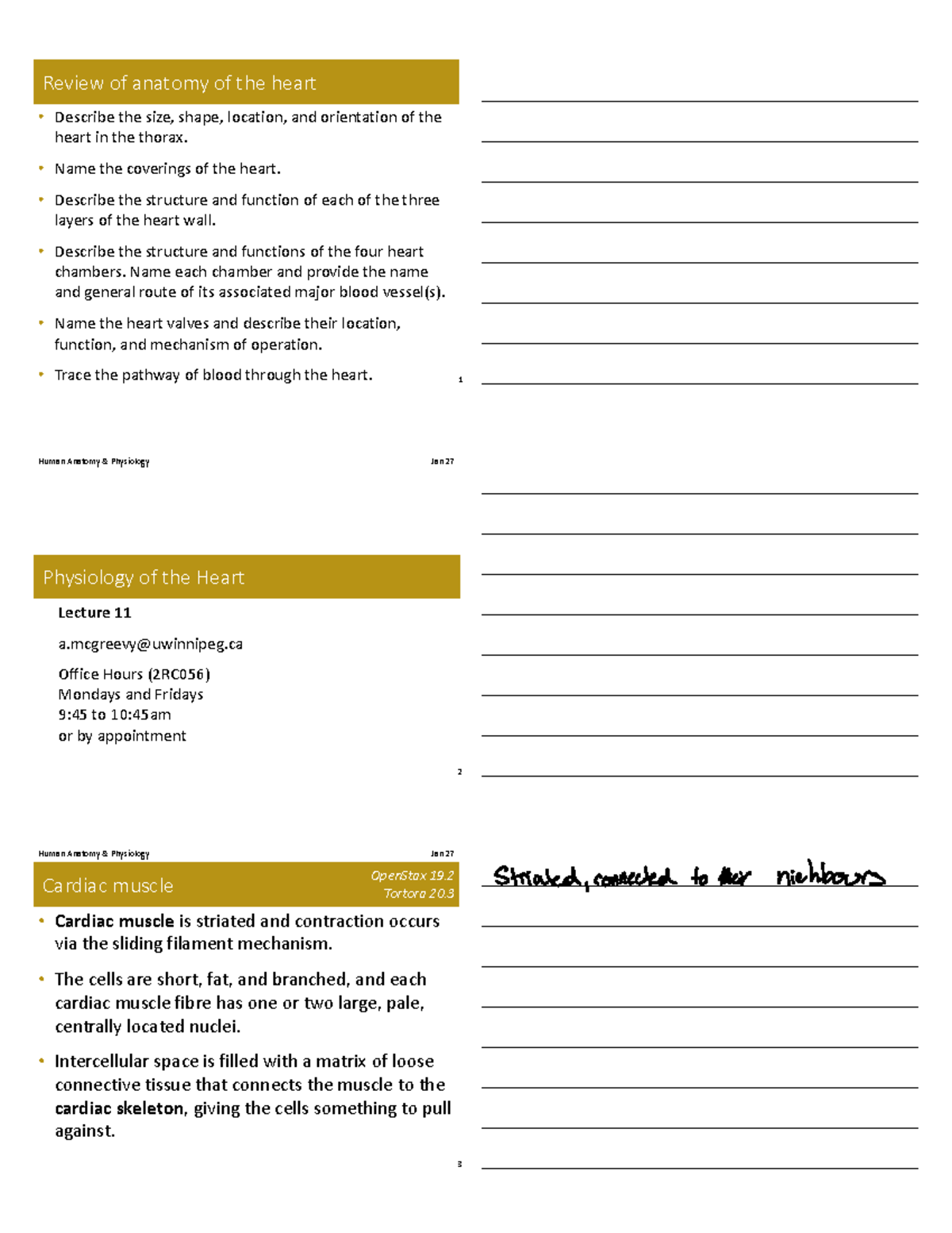 Lecture 11 - Jan 27 - Physiology of the Heart - Notes - Review of ...