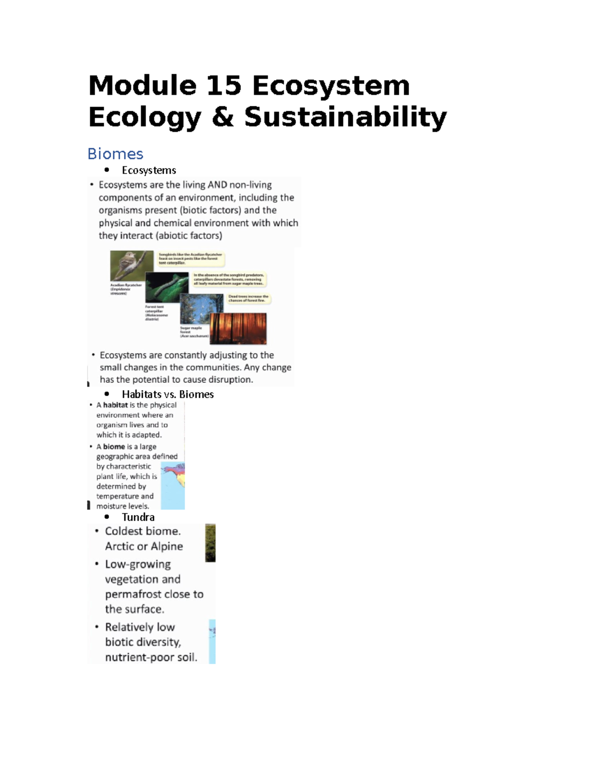 Module 15 Ecosystem Ecology - Module 15 Ecosystem Ecology ...