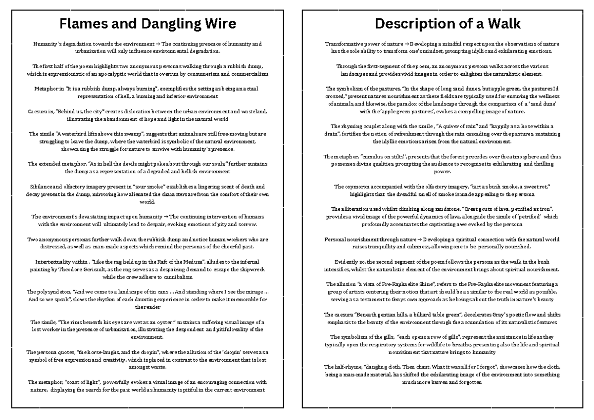 Common Module and Module B - Flames and Dangling Wire Description of a ...