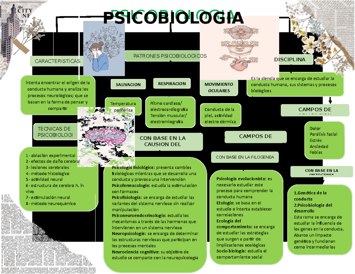 Mapa psicobiologia - espero les sirva de apoyo - 1ética de la conducta ...