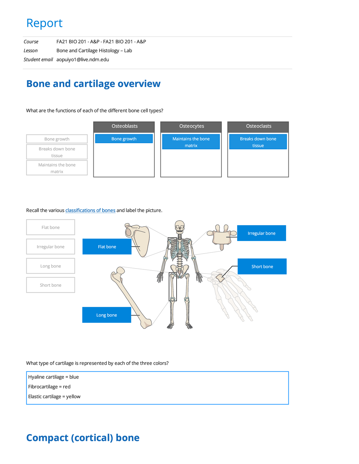 Bone and Cartilage Histology – Lab report - Report Course FA21 BIO 201 ...