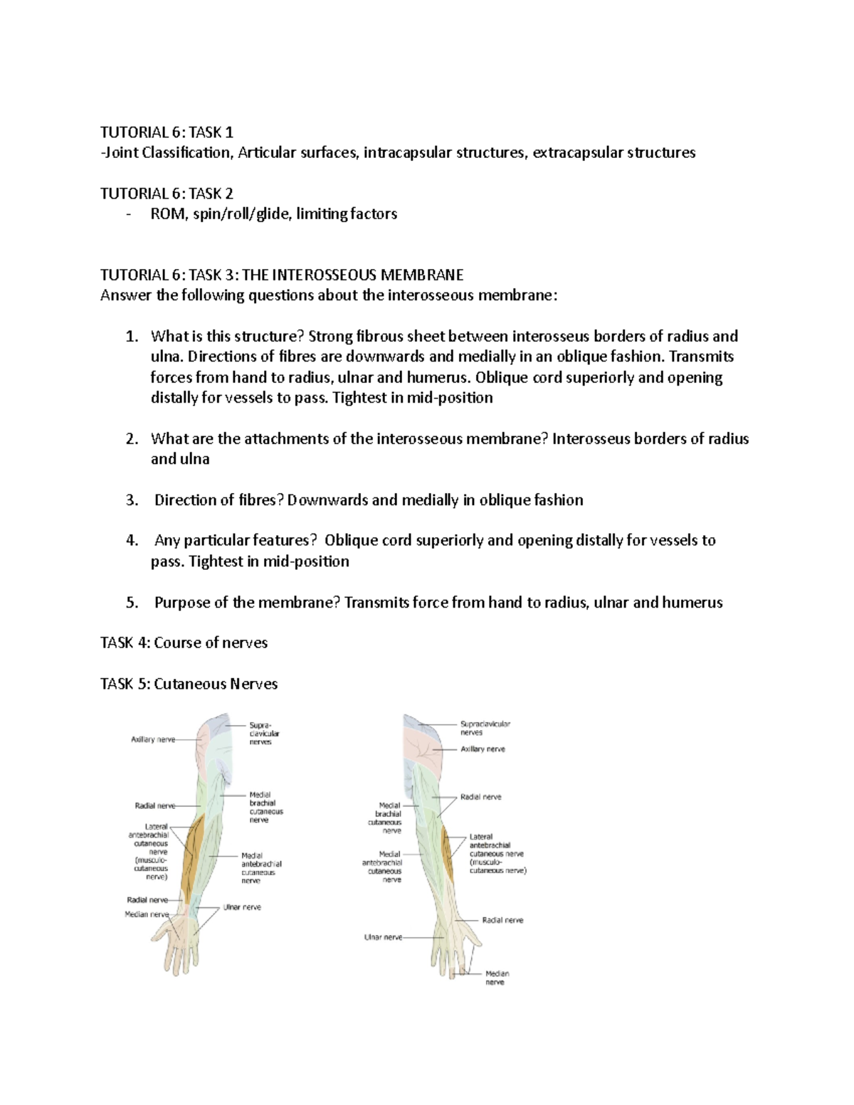 Workbook 3- Elbow- Anatomy 2 - TUTORIAL 6: TASK 1 -Joint Classification ...