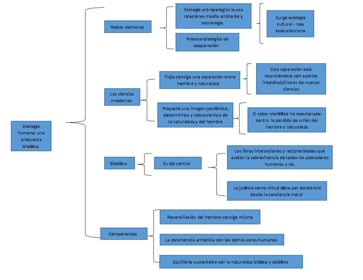 Sinoptico lectura 3 - mapa de resumen con gran ayuda visual para poder ...
