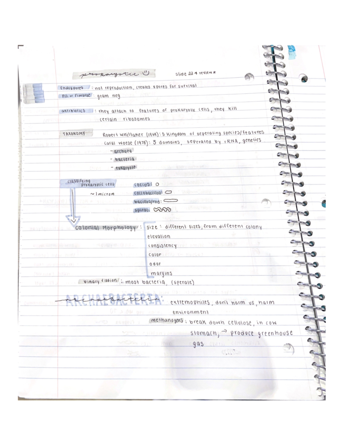 Microbio 4 - Teacher: Andrew Brader prokaryotic cells - 4 Jao Ronyo tet ...