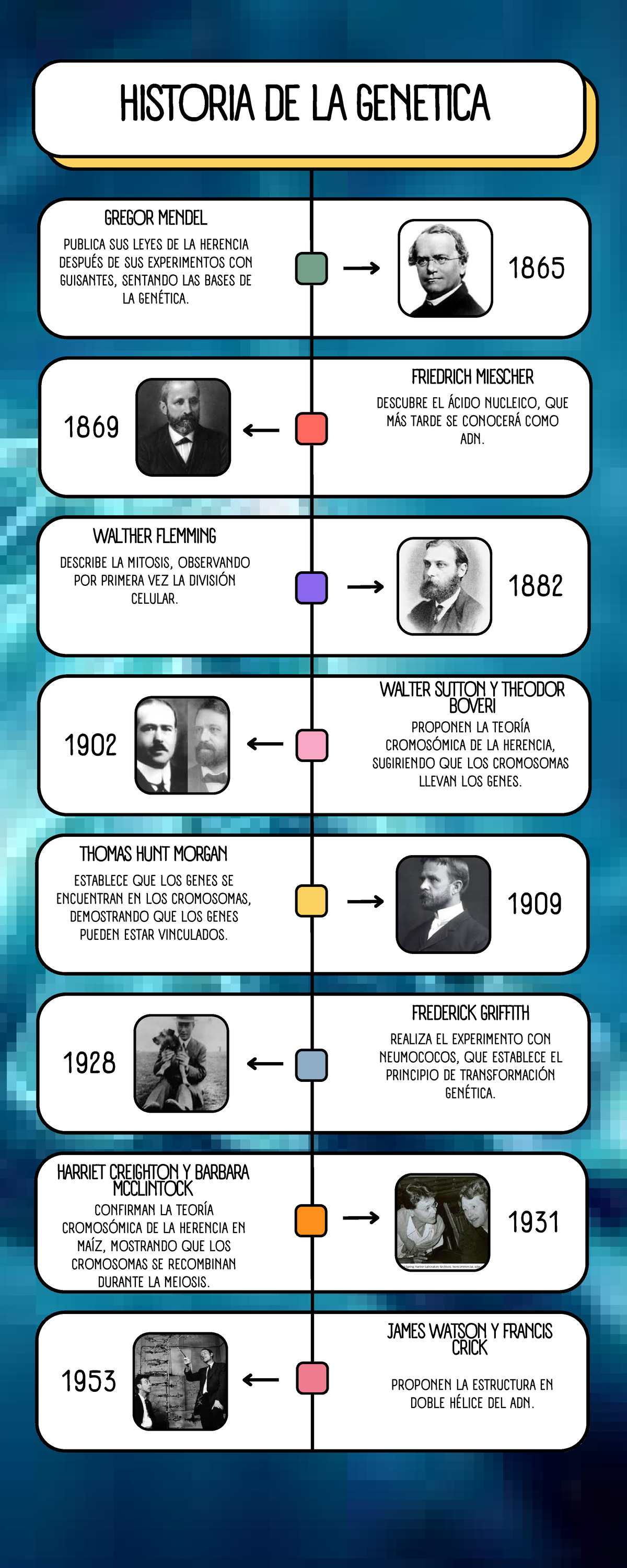 Liena del tiempo de la genetica - 1865 PUBLICA SUS LEYES DE LA HERENCIA ...