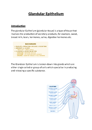 Unit 4A - Unit 4A - Unit 4A: Health and Safety in Science Organisations ...