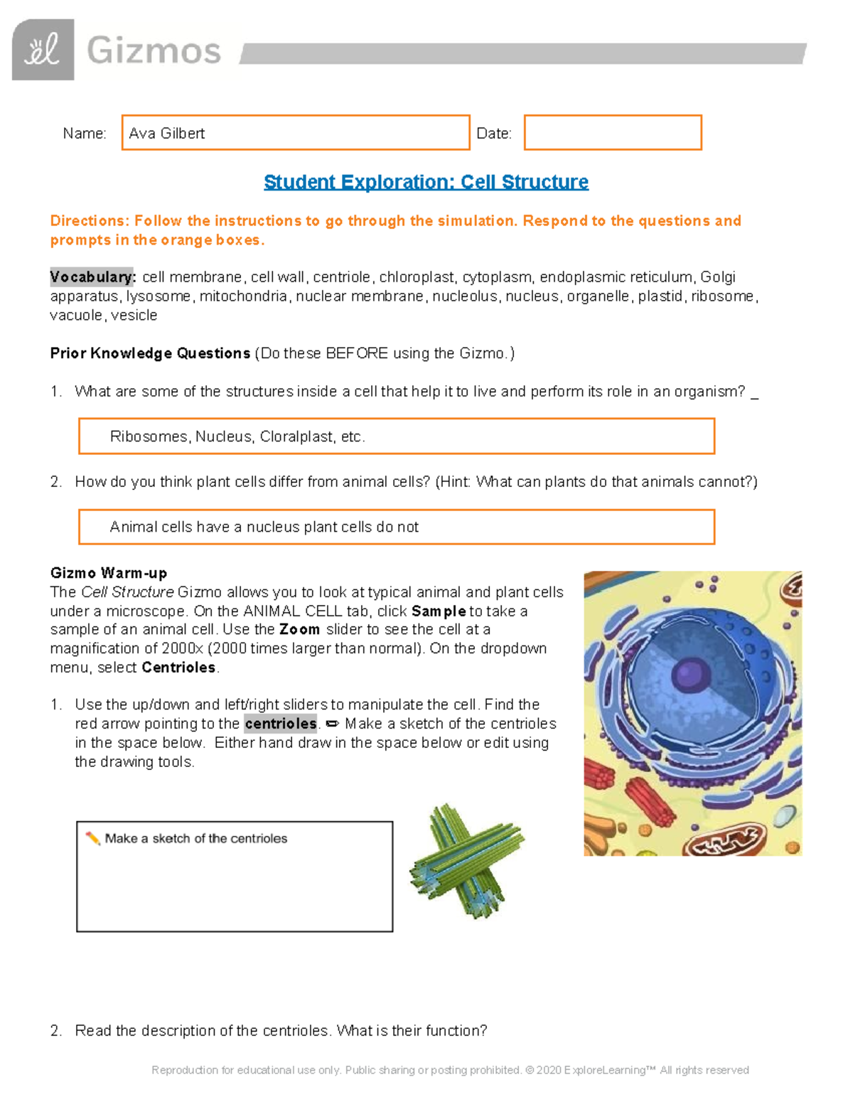 Copy Of Cell Structure Gizmo Data Sheet Student Exploration Cell 