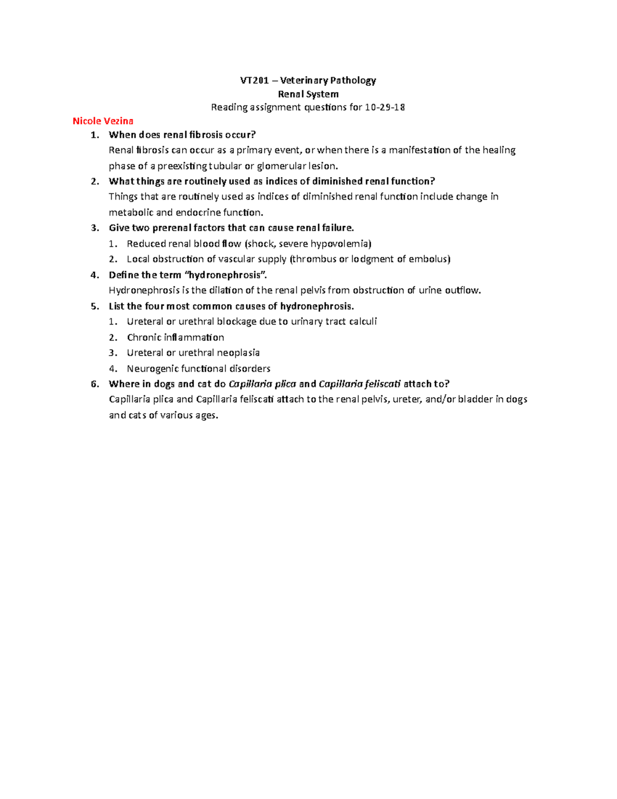 Veterinary Pathology: Renal System 1 - VT201 – Veterinary Pathology ...