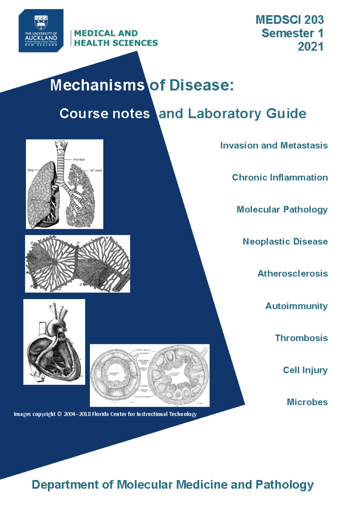Medsci study guide - notes - MEDSCI 203 Semester 1 20 2 1 Department of ...