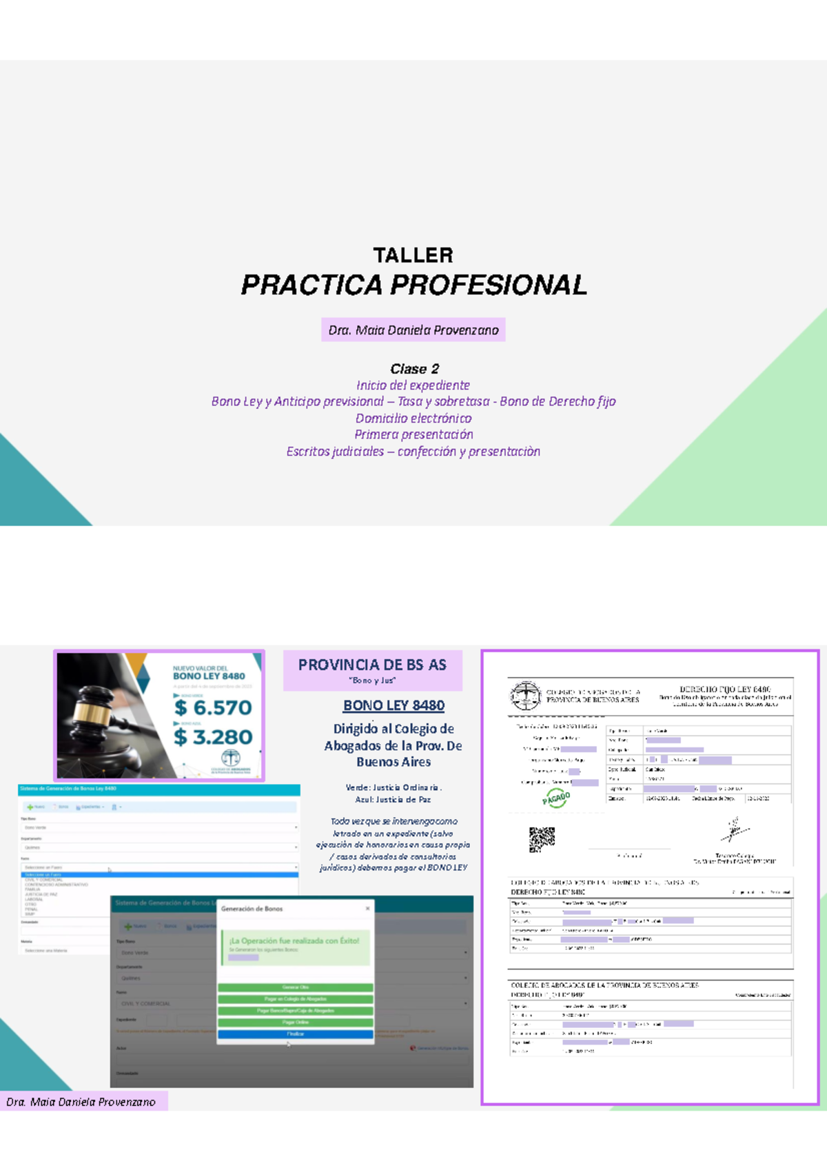Taller P. Profesional - Dra. Maia Daniela Provenzano TALLER PRACTICA ...