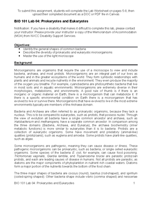 BIO 101 Lab 03, Microscopy and Cells, updated - upload their completed ...