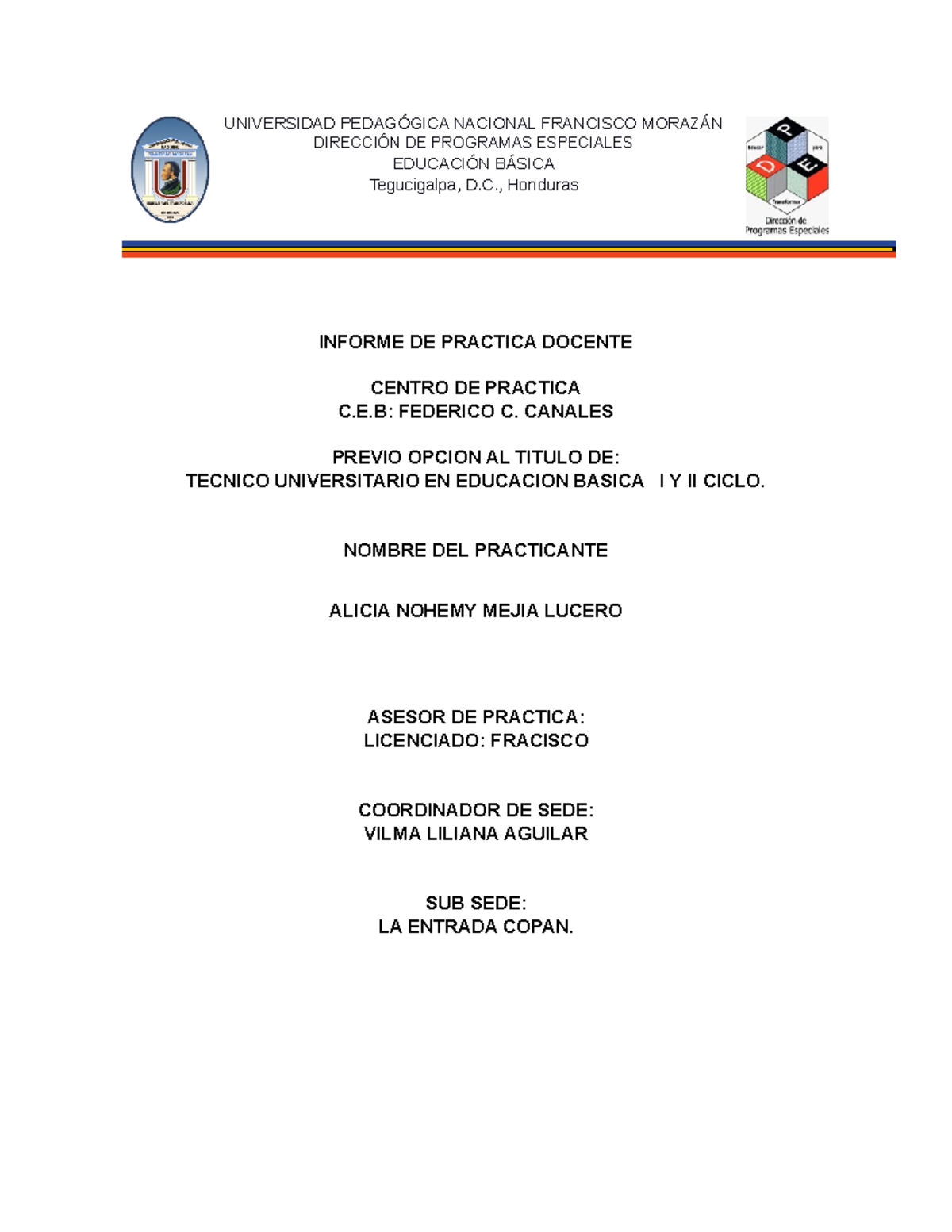 Informe DE Practica Docente - UNIVERSIDAD PEDAGÓGICA NACIONAL FRANCISCO ...
