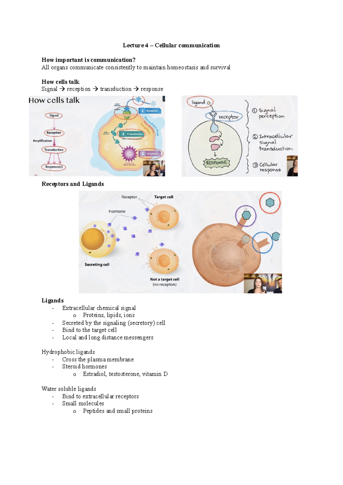 M1L4 - Lecture 4 – Cellular communication How important is communication? All organs communicate ...