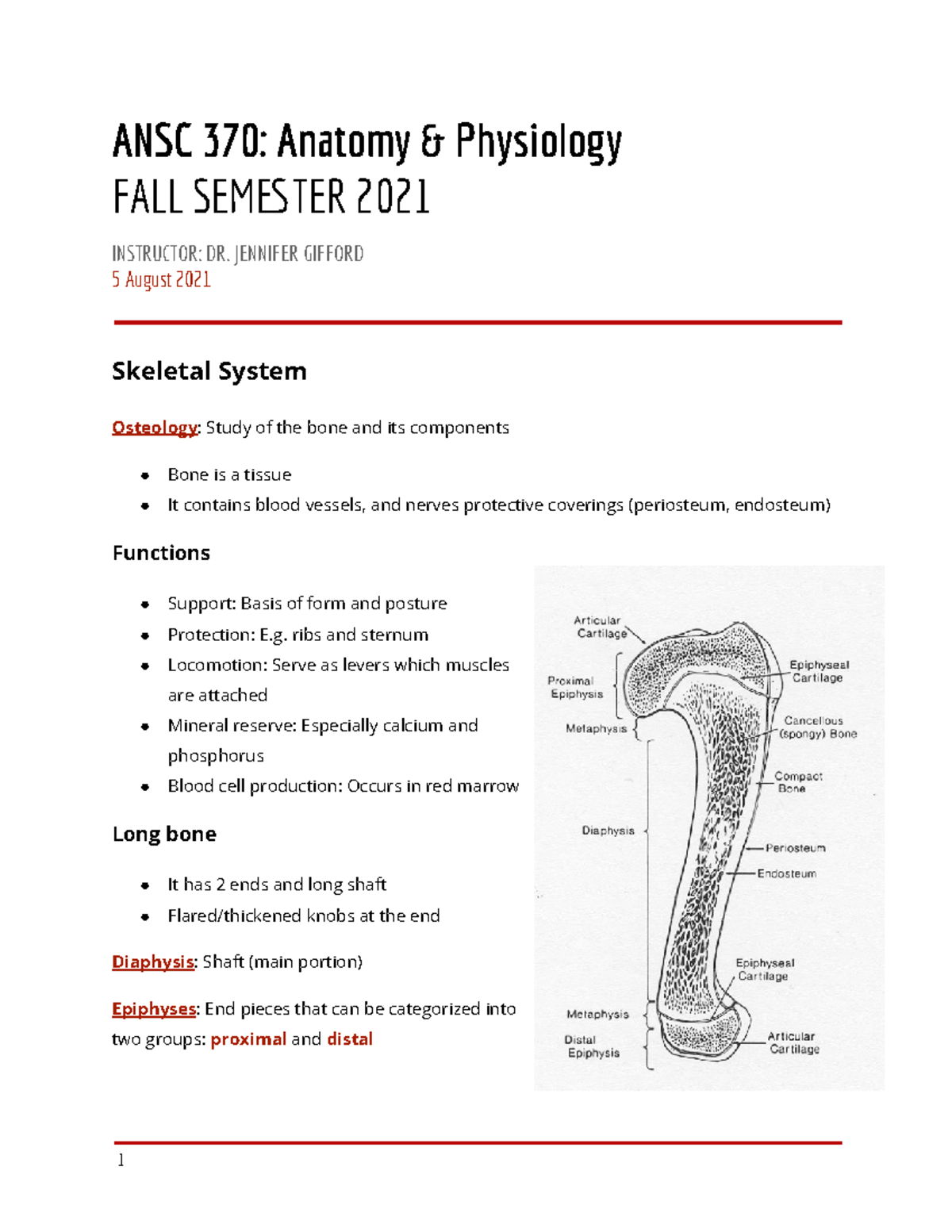 ANSC 370 L2 - Second unit - ANSC 370: Anatomy & Physiology FALL SEMTER ...