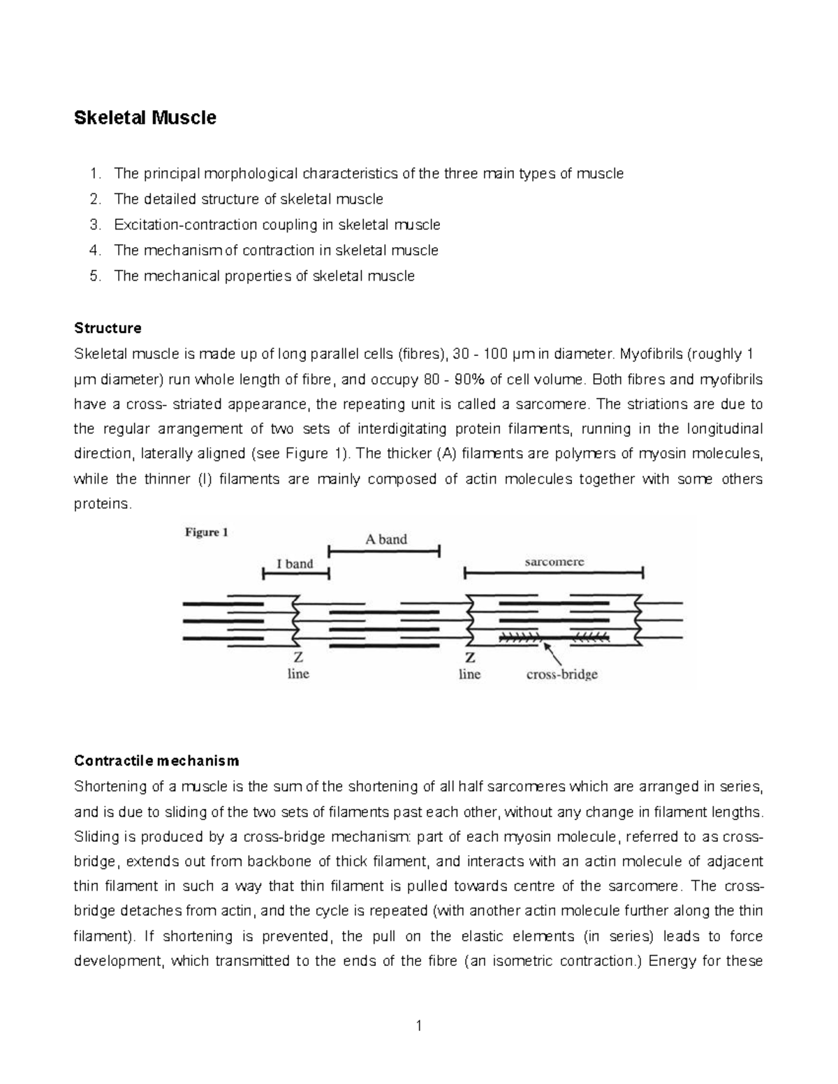 Skeletal muscle note Summary - 1 Skeletal Muscle The principal ...