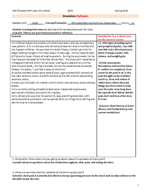 2025 SP22 Perfusion Self-Directed Simulation - Simulation Perfusion ...
