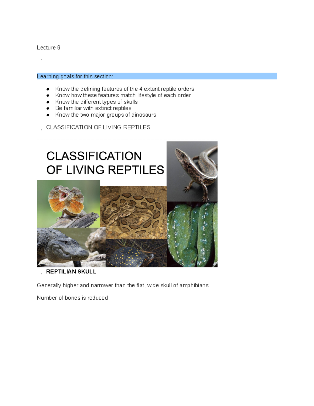 Lecture 6 - reptiles - BIOL228 notes animal diversity - Lecture 6 ...