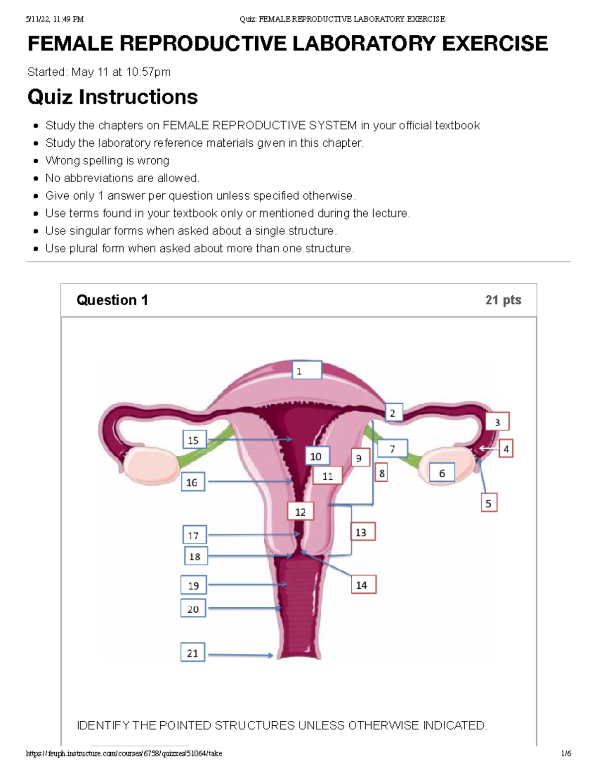 Female Repro Lab Exercise Assignment - FEMALE REPRODUCTIVE LABORATORY ...