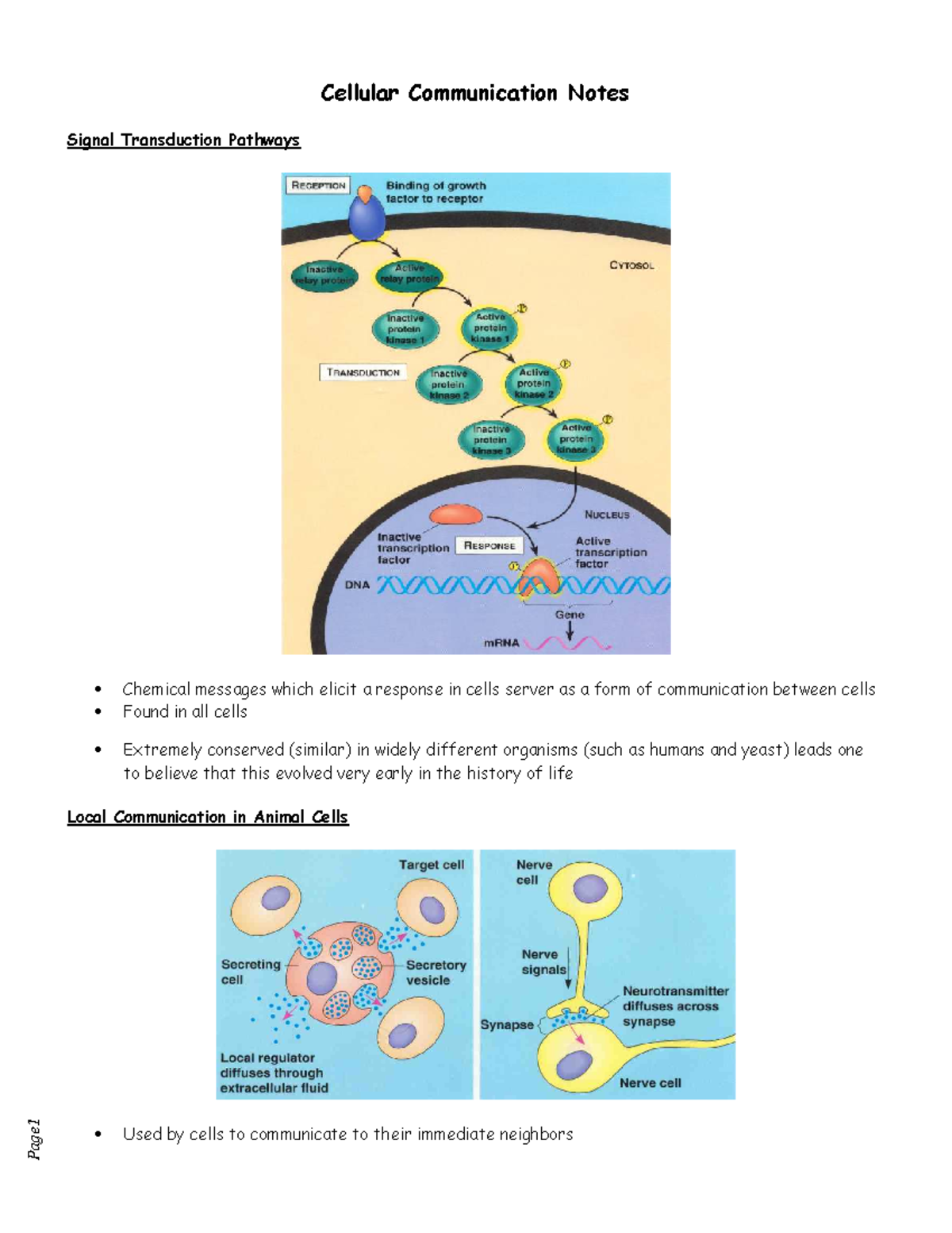 Cellular Communication Quick Notes - Cellular Communication Notes ...