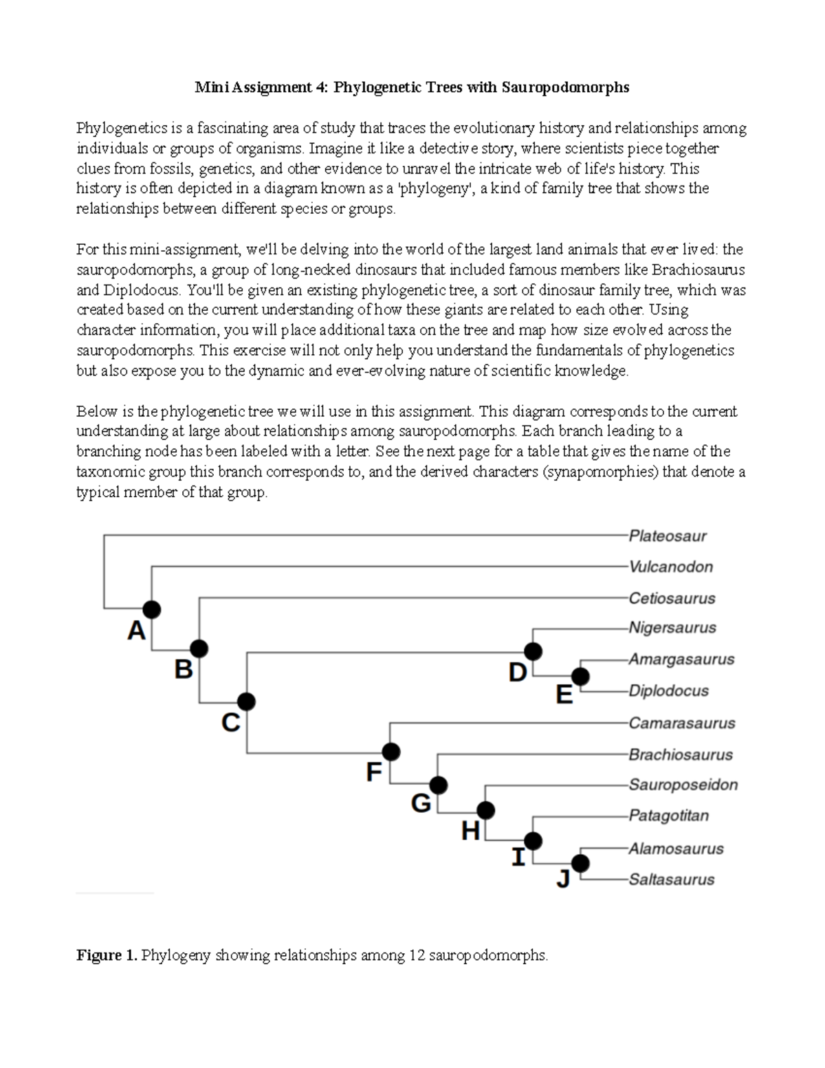 Mini Assignment 4 - jello - Mini Assignment 4: Phylogenetic Trees with Sauropodomorphs ...