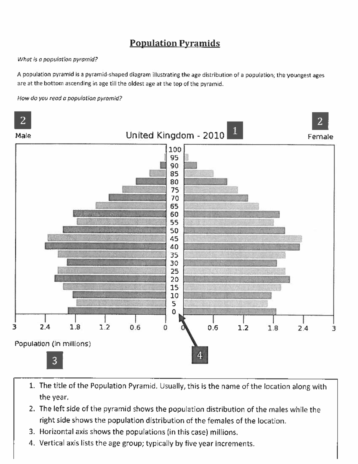 Kami Export - Morgan Smith - Pop. Pyramids Lesson and Activity - BUS 602 - Studocu