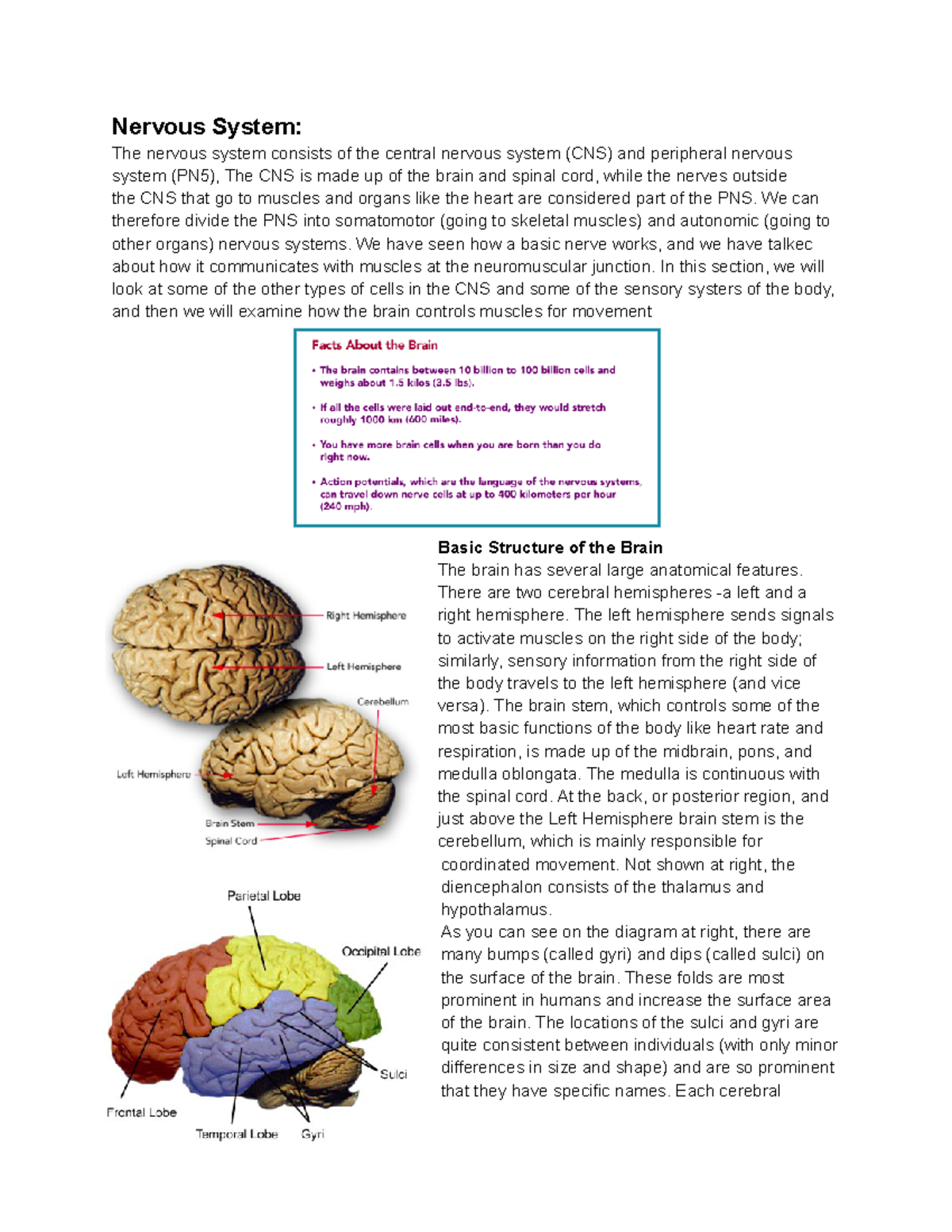 Nervous System - Lecture notes on Mod 6-7 - Nervous System: The nervous ...
