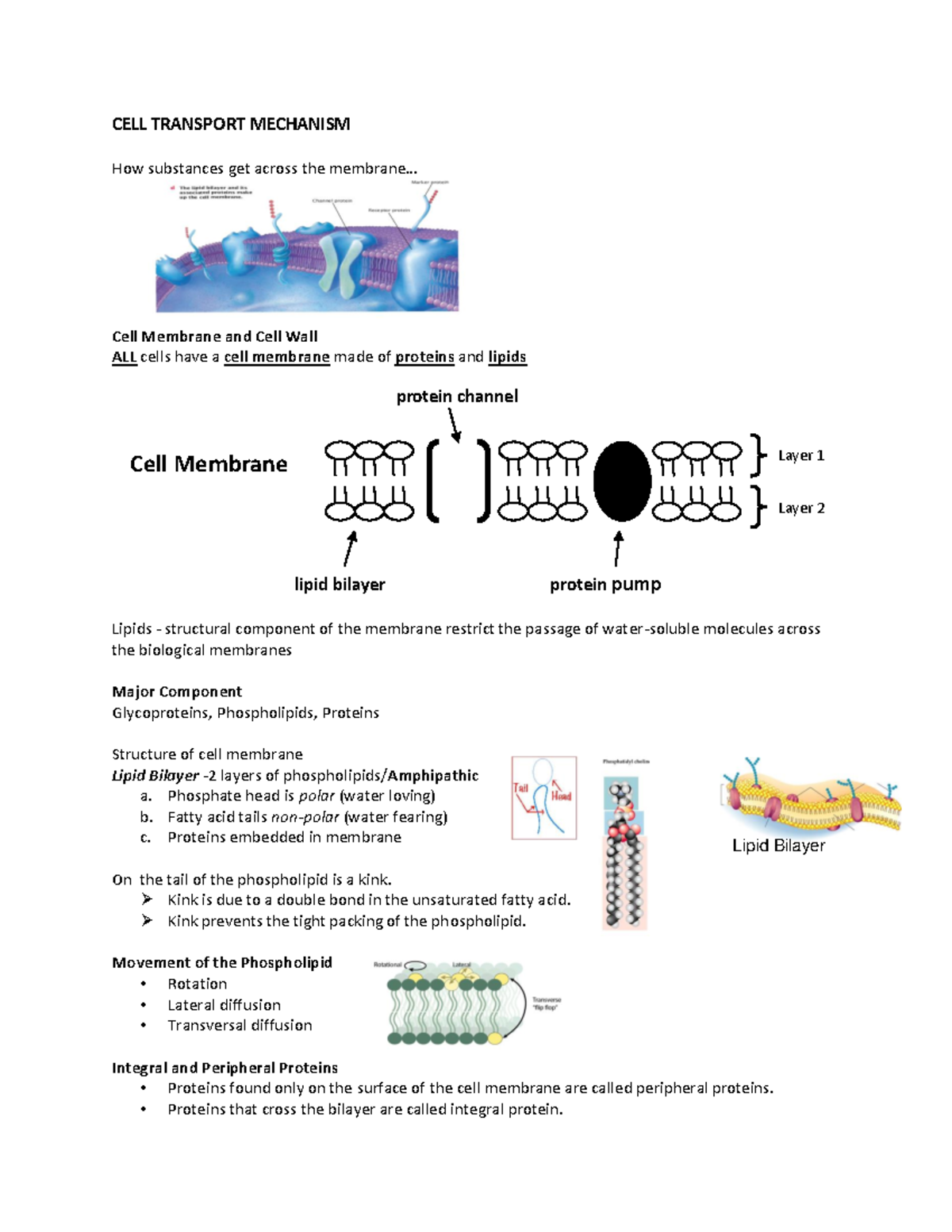 Lecture notes about Cell Transport Mechanism ( Function of Cell ...