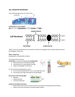Genbio 1-MOD5-ver - Cell Cycle - General Biology 1 Quarter 1 – Module 5 ...