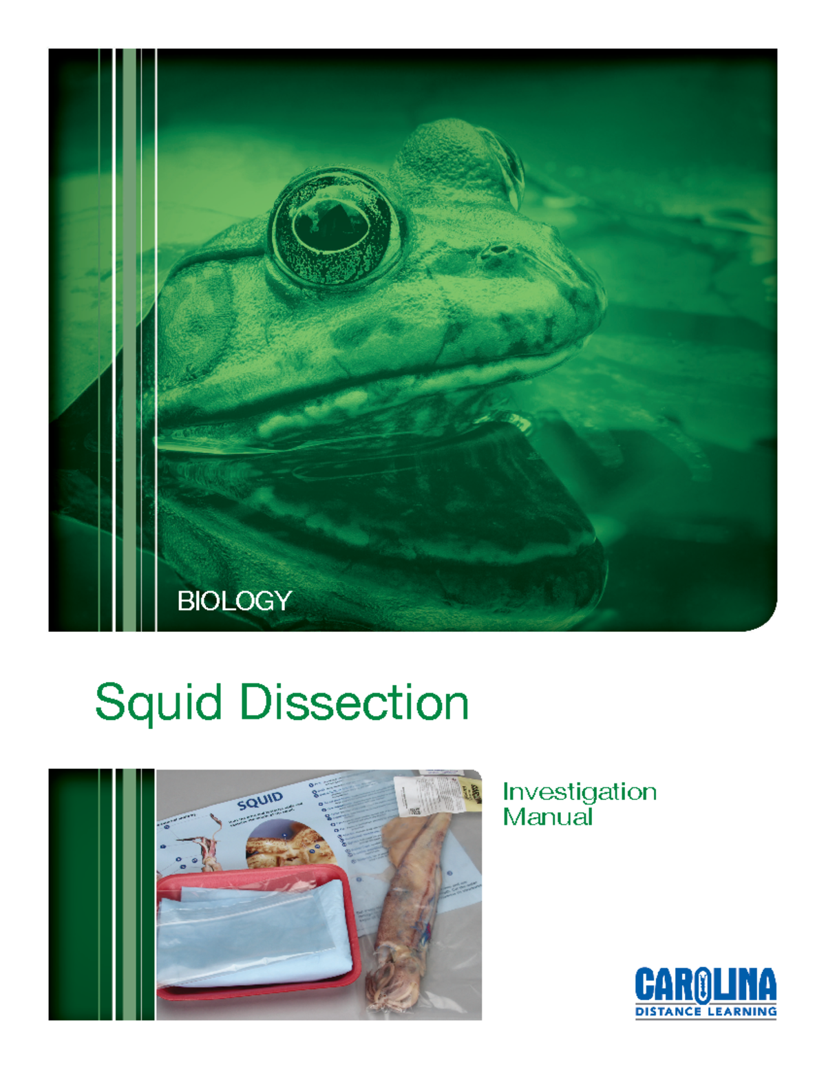 Squid Dissection - Investigation Manual Squid Dissection BIOLOGY SQUID ...