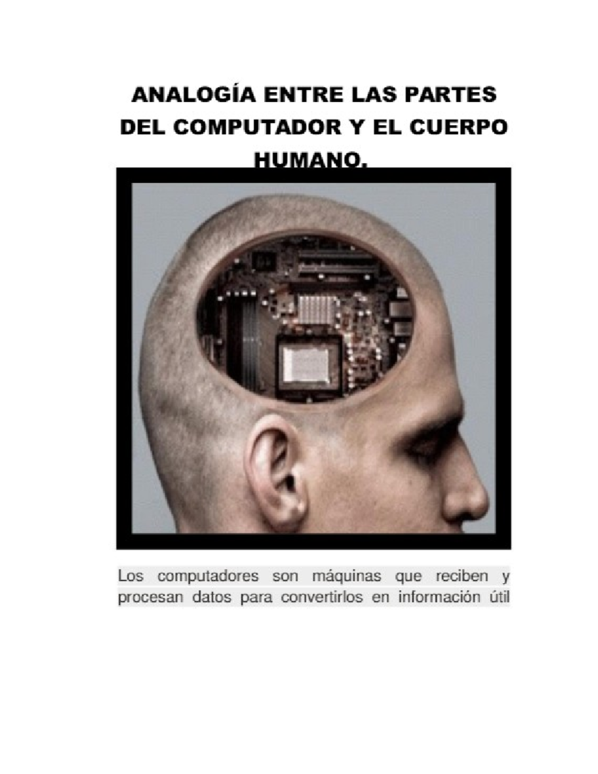 Analogia entre EL PC - Cuerpo Humano - Tecnico en Sistemas - Studocu