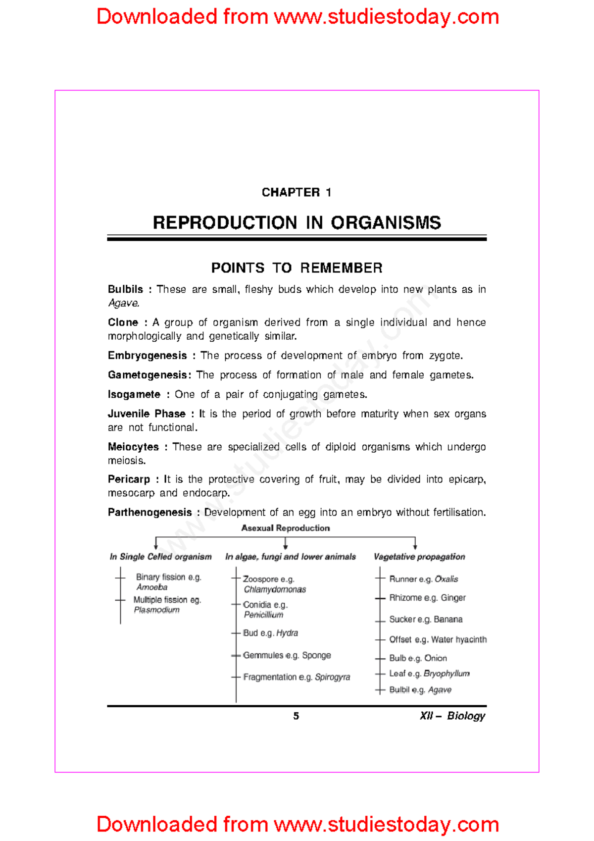 Cbse Class 12 Biology Chap 1 Reproduction In Organisms Worksheet 5