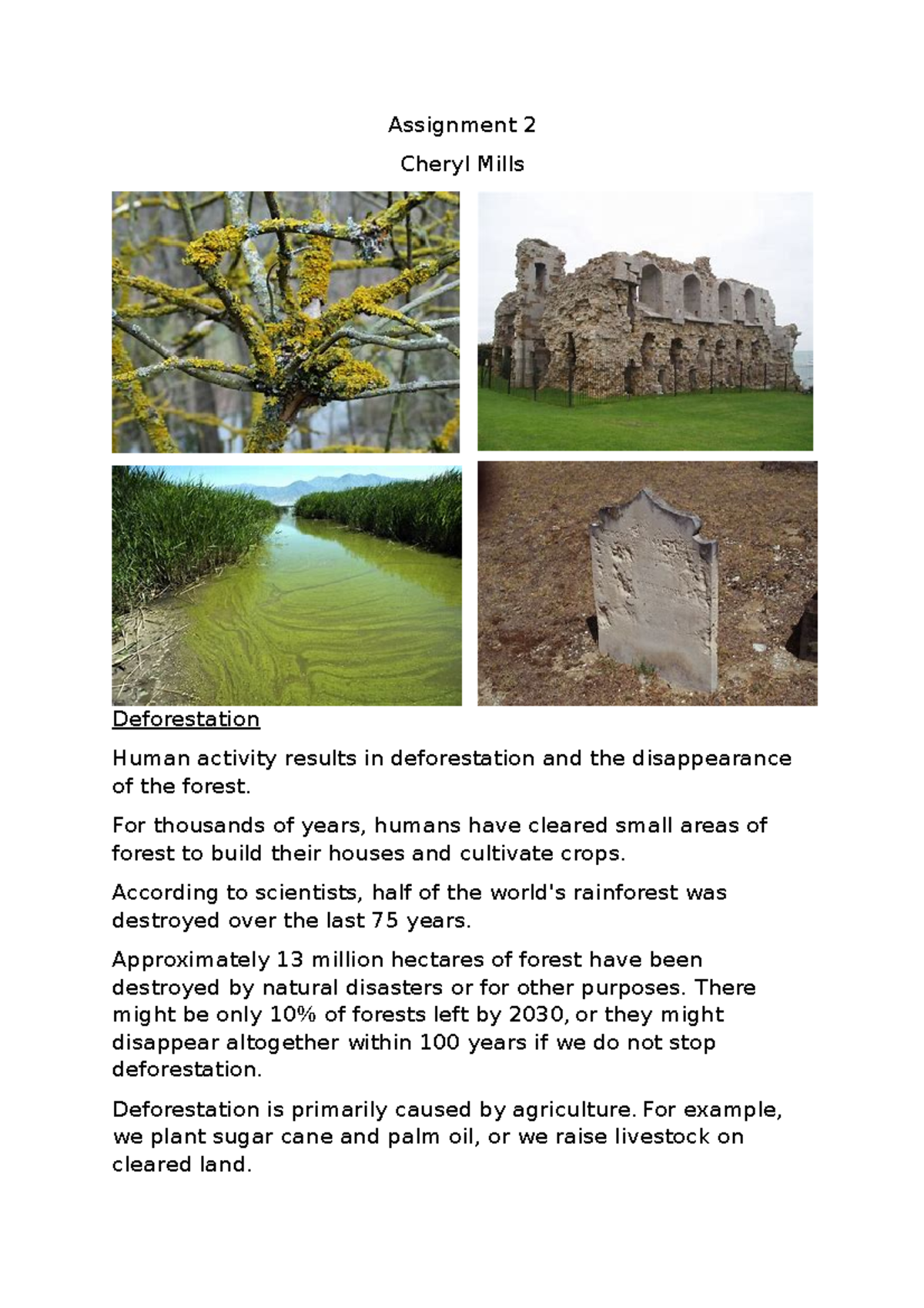 As2 - science - Assignment 2 Cheryl Mills Deforestation Human activity ...